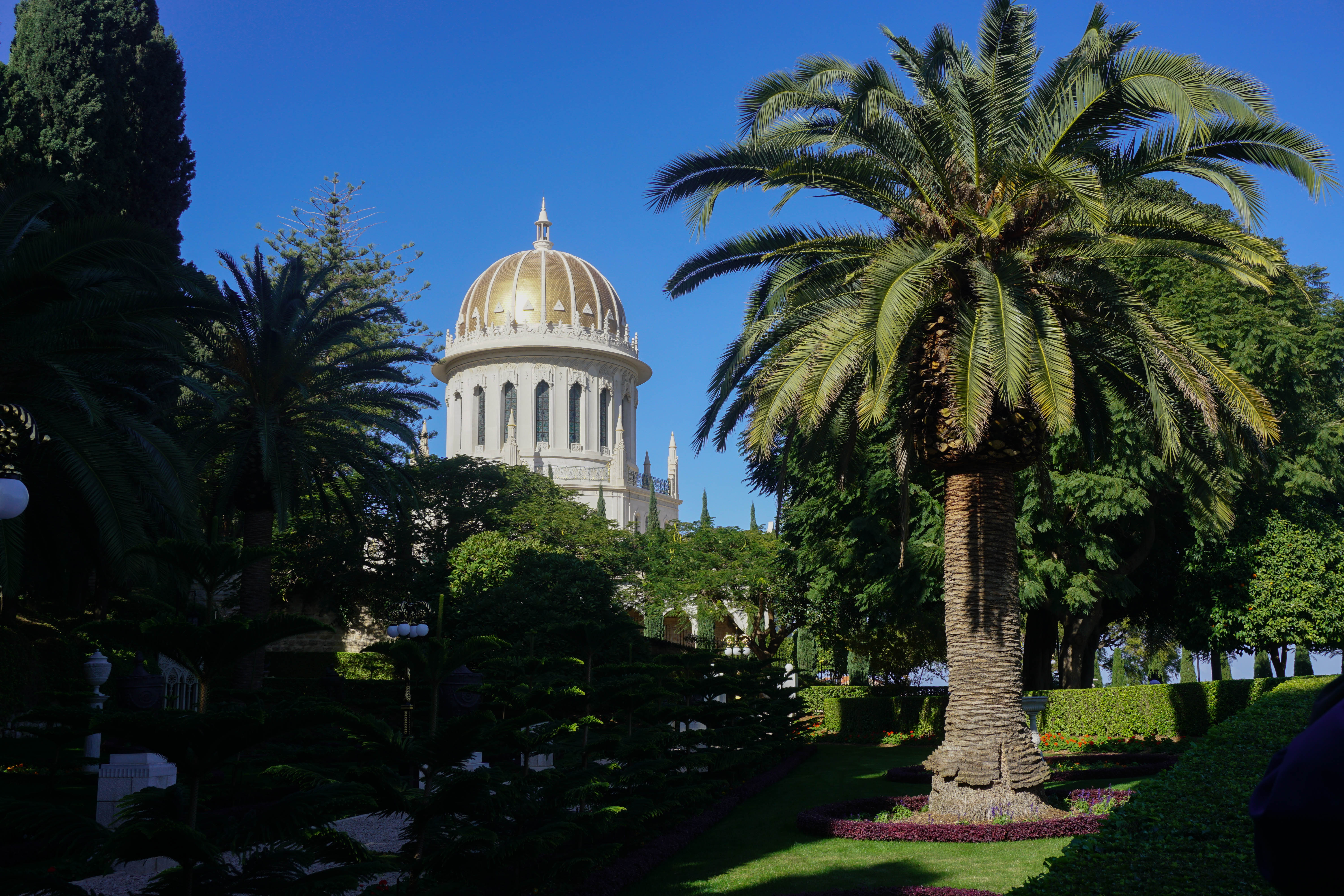 Haifa: a city of unity and love – ticket for two